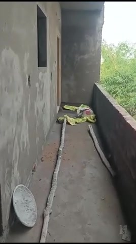 Independent House KONDAPUR RTO OFFICE - Without Brokerage Unfurnished 3 ...