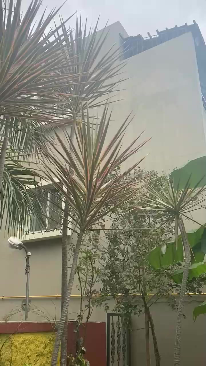 Edifice Almond Tree Row House Yelahanka - Without Brokerage Fully ...